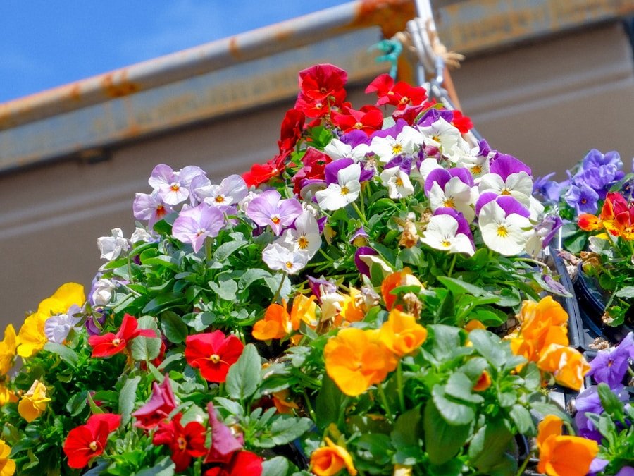 The Language of Flowers: How to Apologize After Workplace Conflict