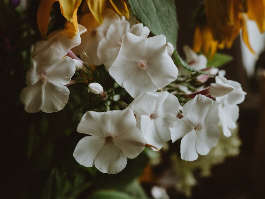 Charming Nostalgia: Vintage-Inspired Flowers for a Unique Gift
